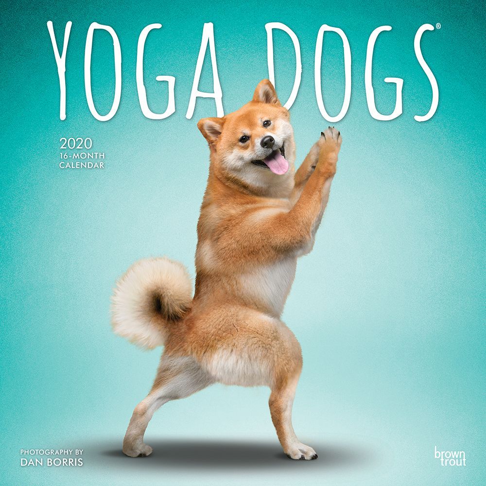 Yoga Dogs Calendar